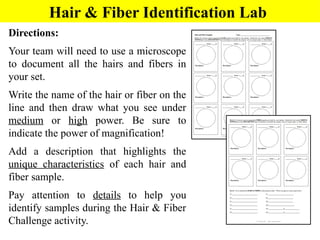 Hair and fiber analysis is an important forensic technique that helps ...