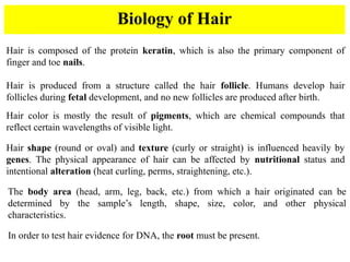 Hair and fiber analysis is an important forensic technique that helps ...