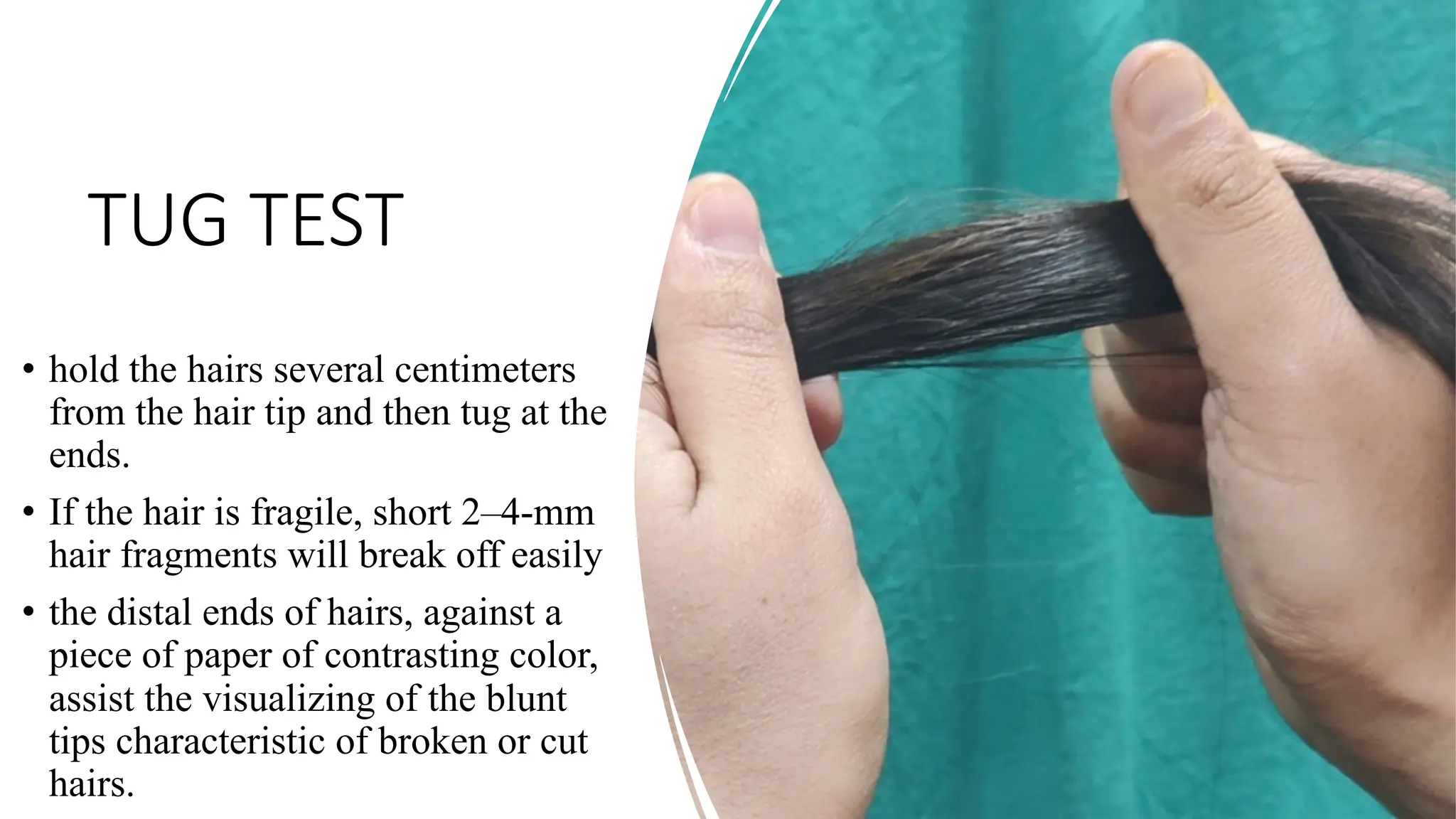 An approach to hair shaft disorders in Dermatology | PDF