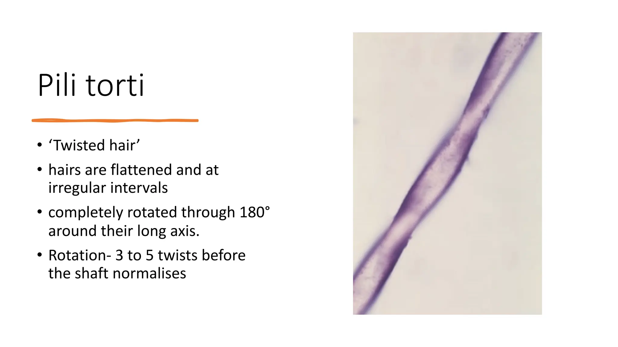 An approach to hair shaft disorders in Dermatology | PDF