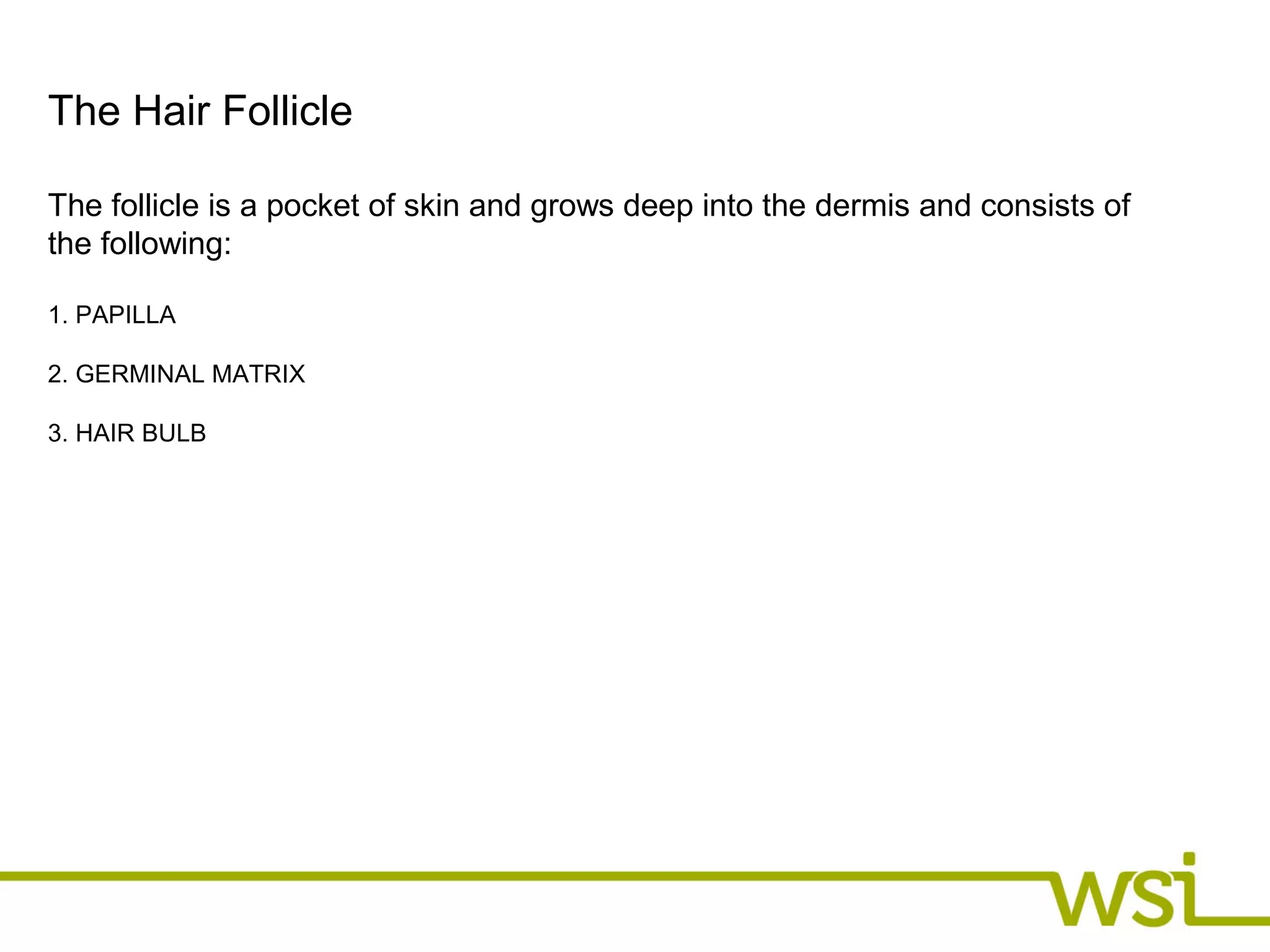 Hair structure | PPT