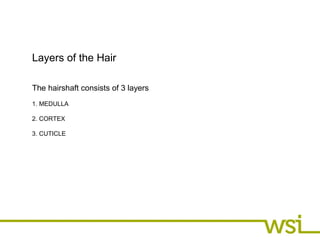 Hair structure | PPT
