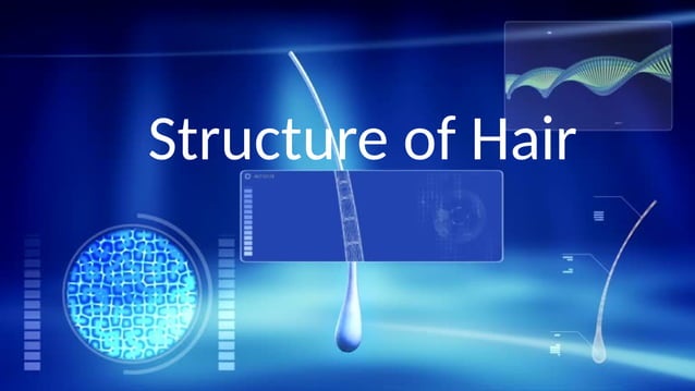 An Overview of Human Hair Anatomy and Composition | PPT
