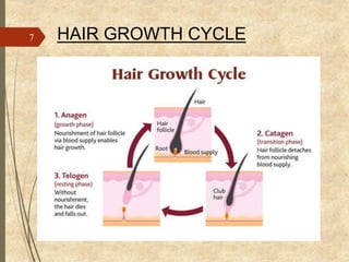 Hair structure and growth cycle | PPTX