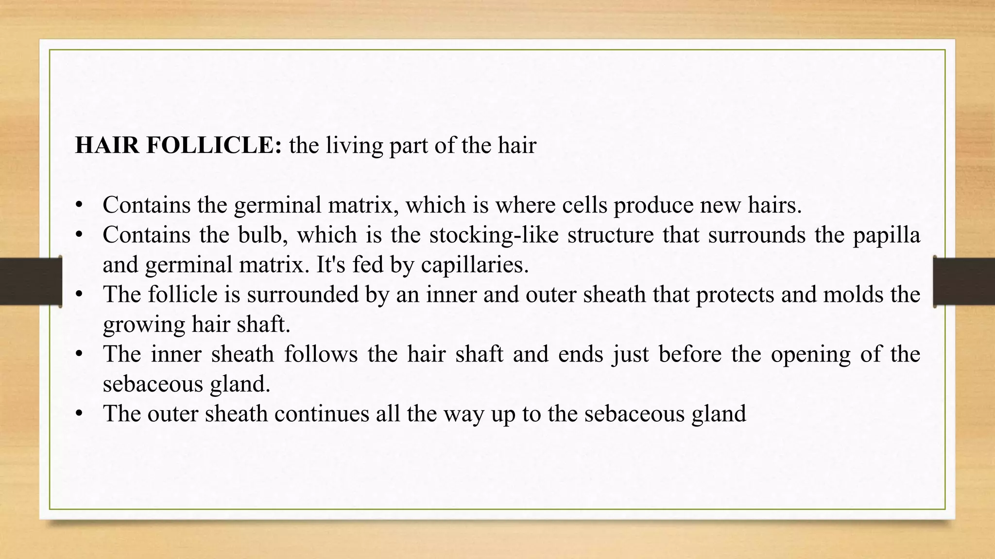 Hair structure and hair growth cycle | PPTX