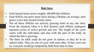 Hair structure and hair growth cycle | PPTX