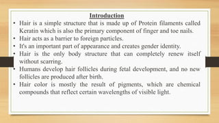 Hair structure and hair growth cycle | PPTX