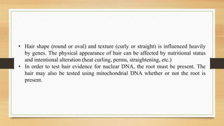 Hair structure and hair growth cycle | PPTX