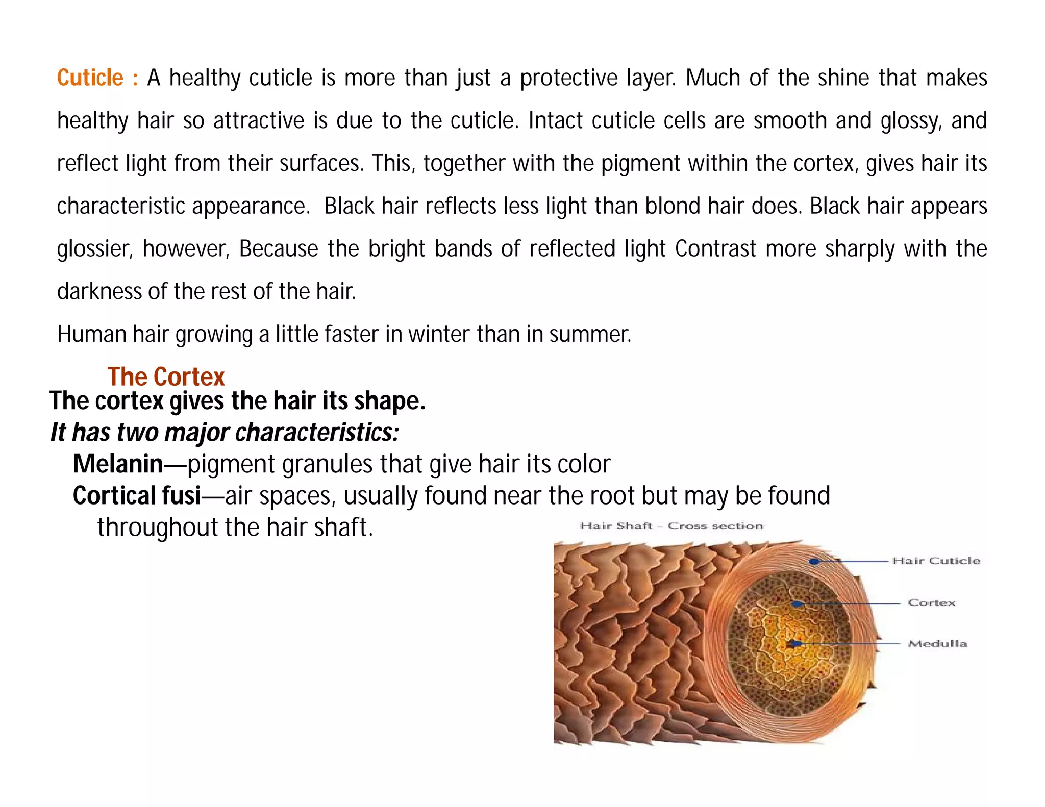 Hair structure and hair growth cycle | PDF