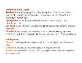 Hair structure and hair growth cycle | PDF