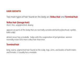 Hair structure and hair growth cycle | PDF