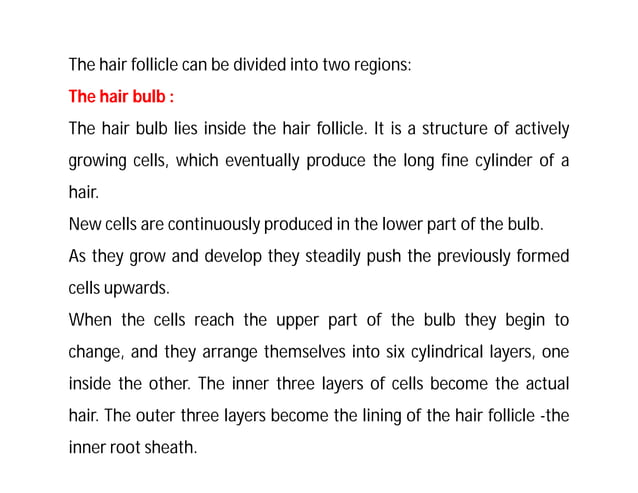 Hair structure and hair growth cycle | PDF