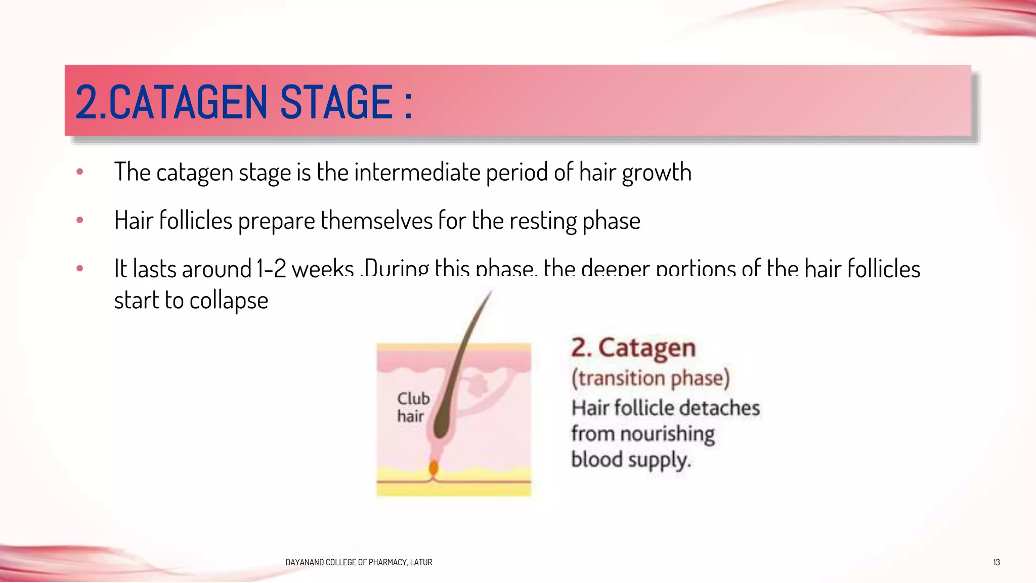 Hair structure and hair growth cycle.pptx