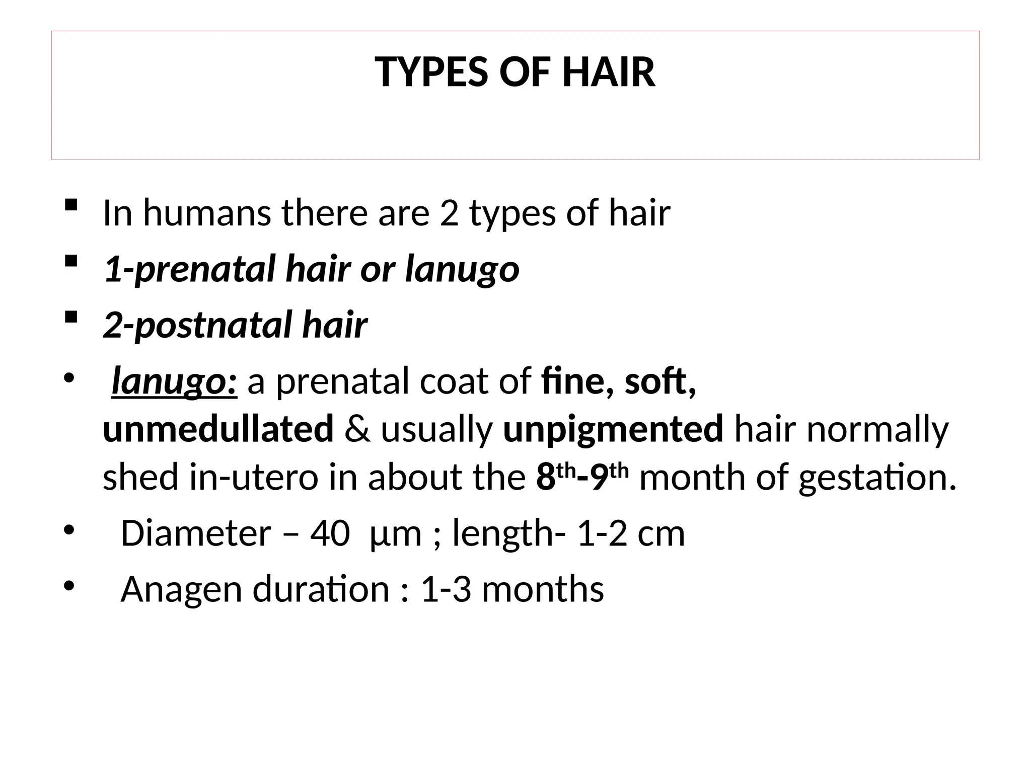 hair structure and physiology. information | PPTX