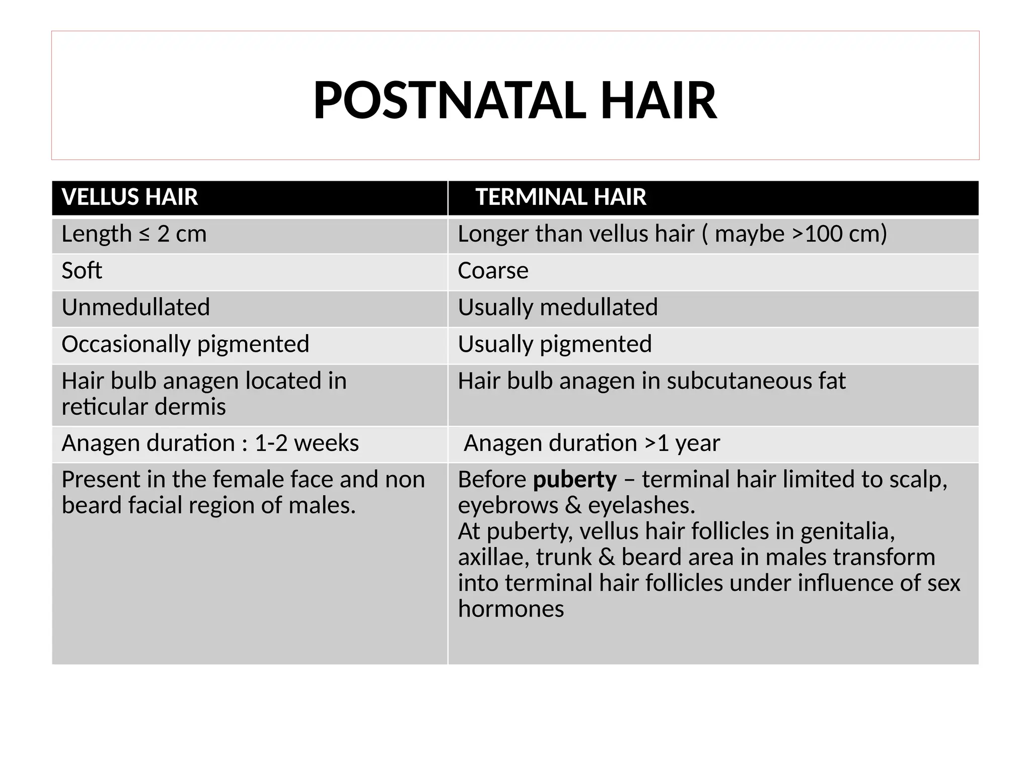 hair structure and physiology. information | PPTX