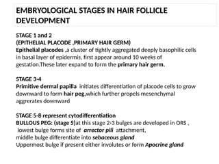 hair structure and physiology. information | PPTX