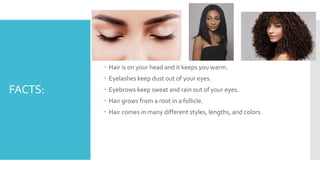 Hair styles and types | PPTX
