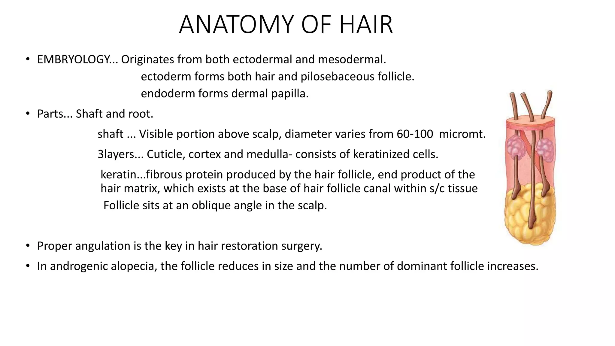 Hair transplantation | PPTX