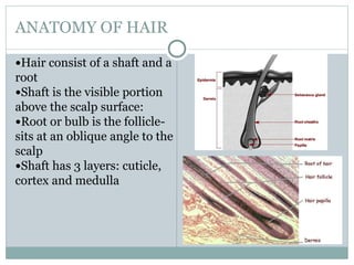 Hair Transplant Surgeon in Kolkata | Dr. Jayanta Kumar Saha | PPTX