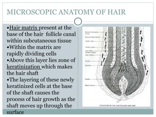 Hair Transplant Surgeon in Kolkata | Dr. Jayanta Kumar Saha | PPTX