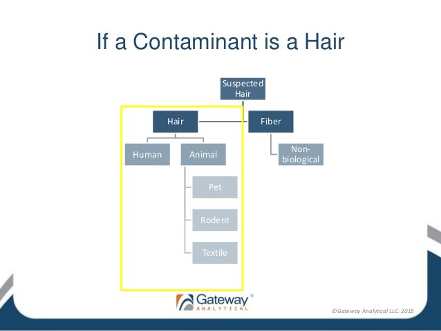 Webinar: Hair as a Pharmaceutical Contaminant