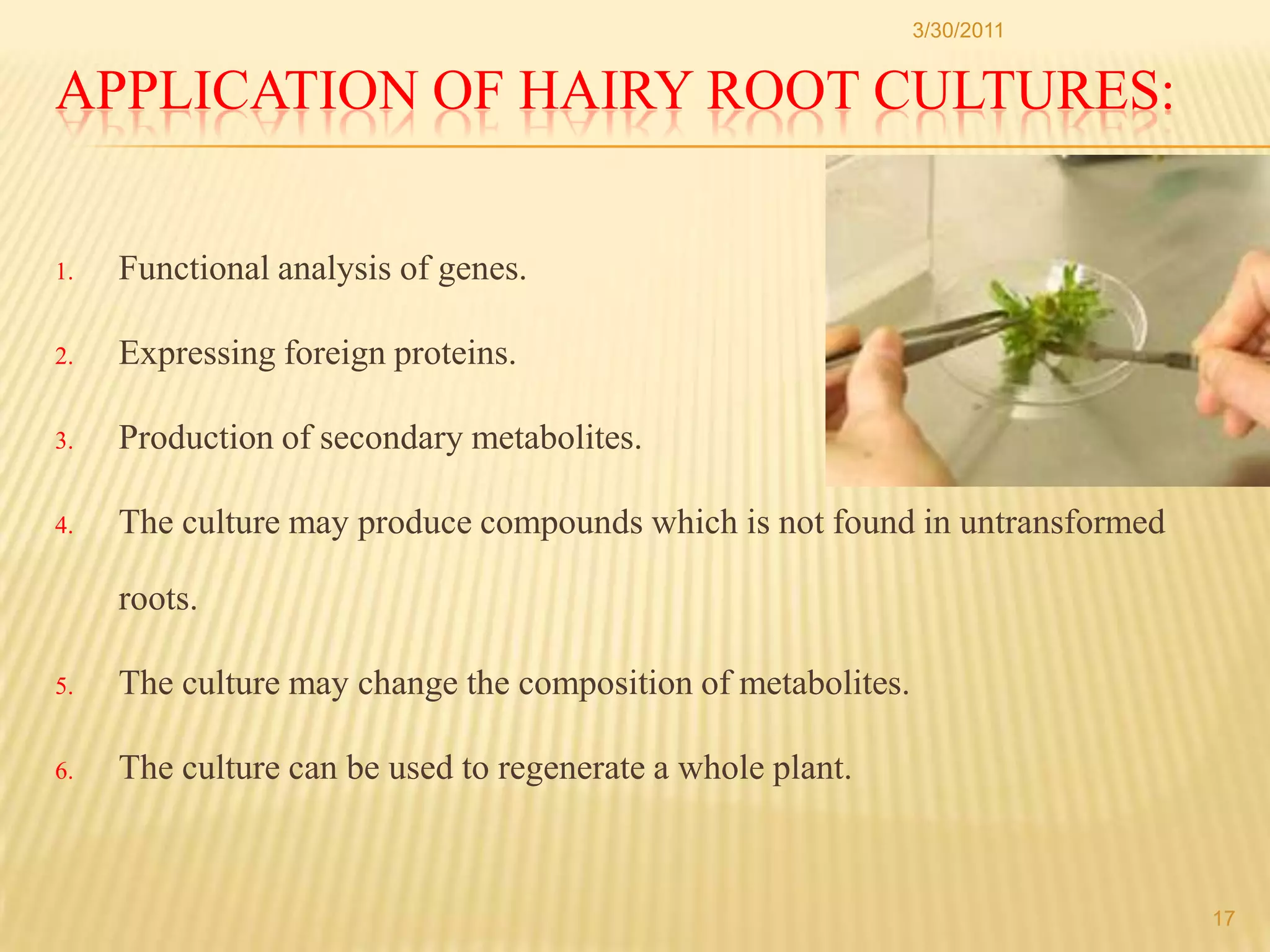 Hairy root cell culture | PPTX