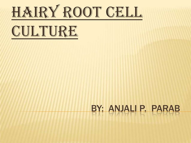 Hairy root cell culture | PPTX | Gardening | Home & Garden