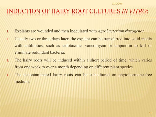 Hairy root cell culture | PPTX | Gardening | Home & Garden