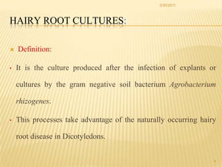 Hairy root cell culture | PPTX