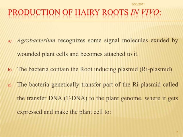 Hairy root cell culture | PPTX | Gardening | Home & Garden