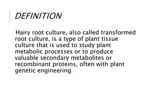 Hairy root culture | PPTX