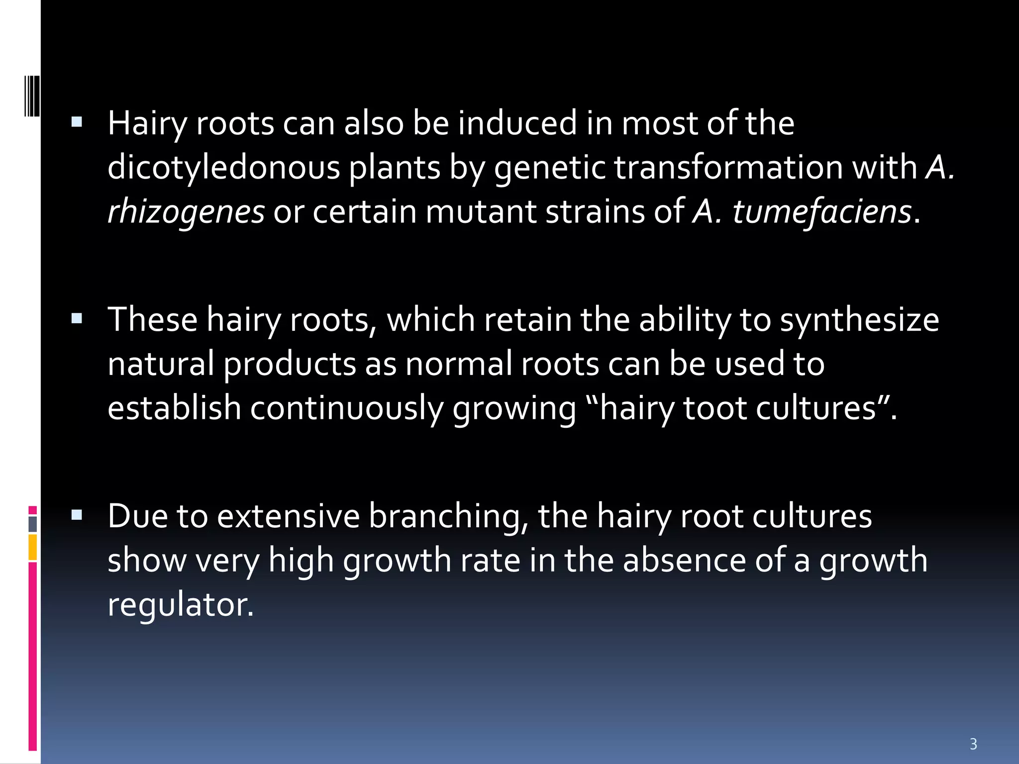 Hairy root culture | PPTX