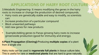 Hairy Root Culture and Biotransformation.pptx