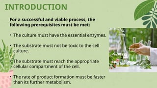 Hairy Root Culture and Biotransformation.pptx