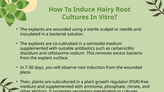 Hairy Root Culture and Biotransformation.pptx