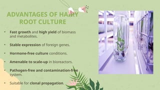 Hairy Root Culture and Biotransformation.pptx