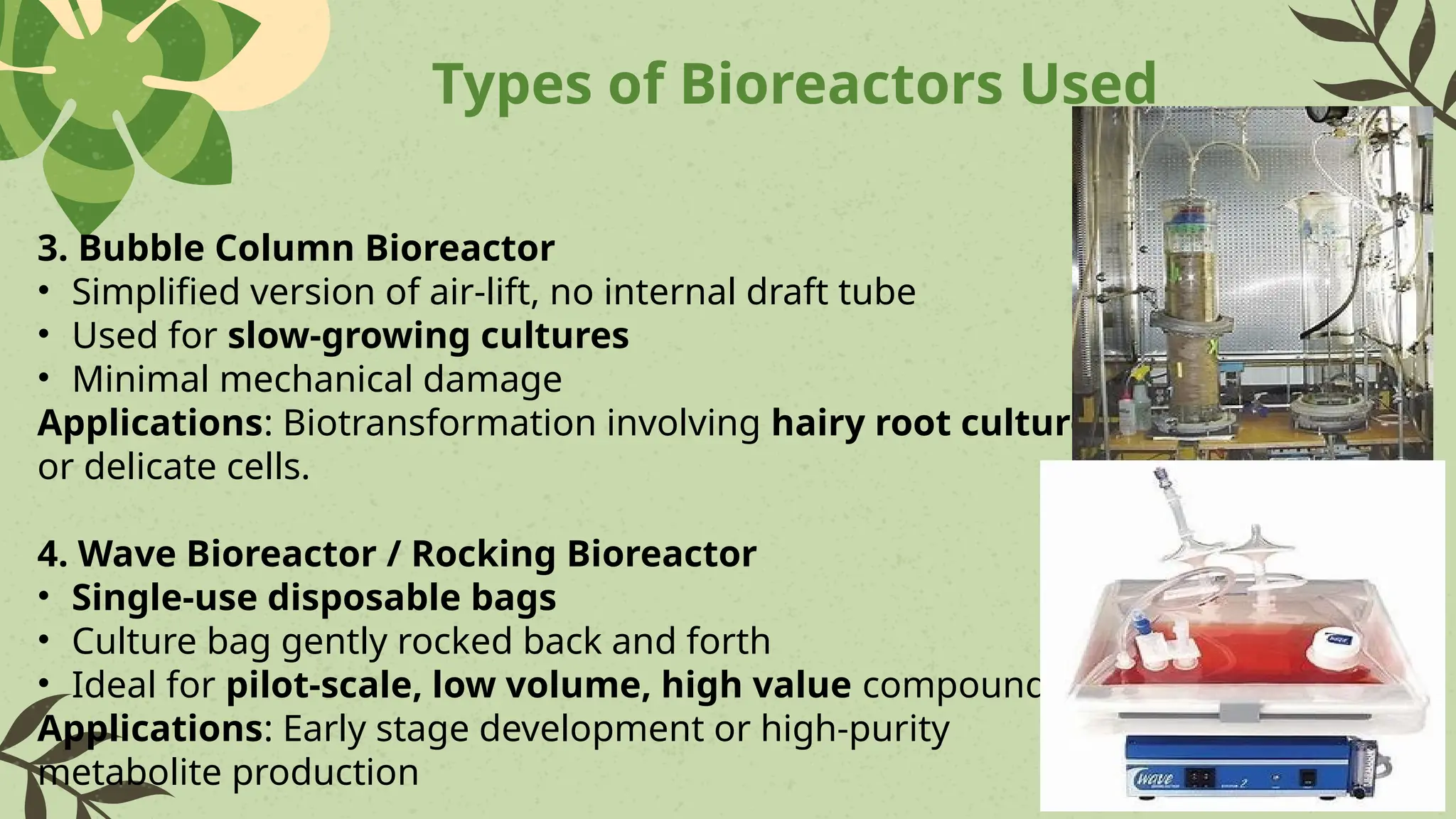 Hairy root culture and biotransformation by Drx Zainab Mantasha .pptx
