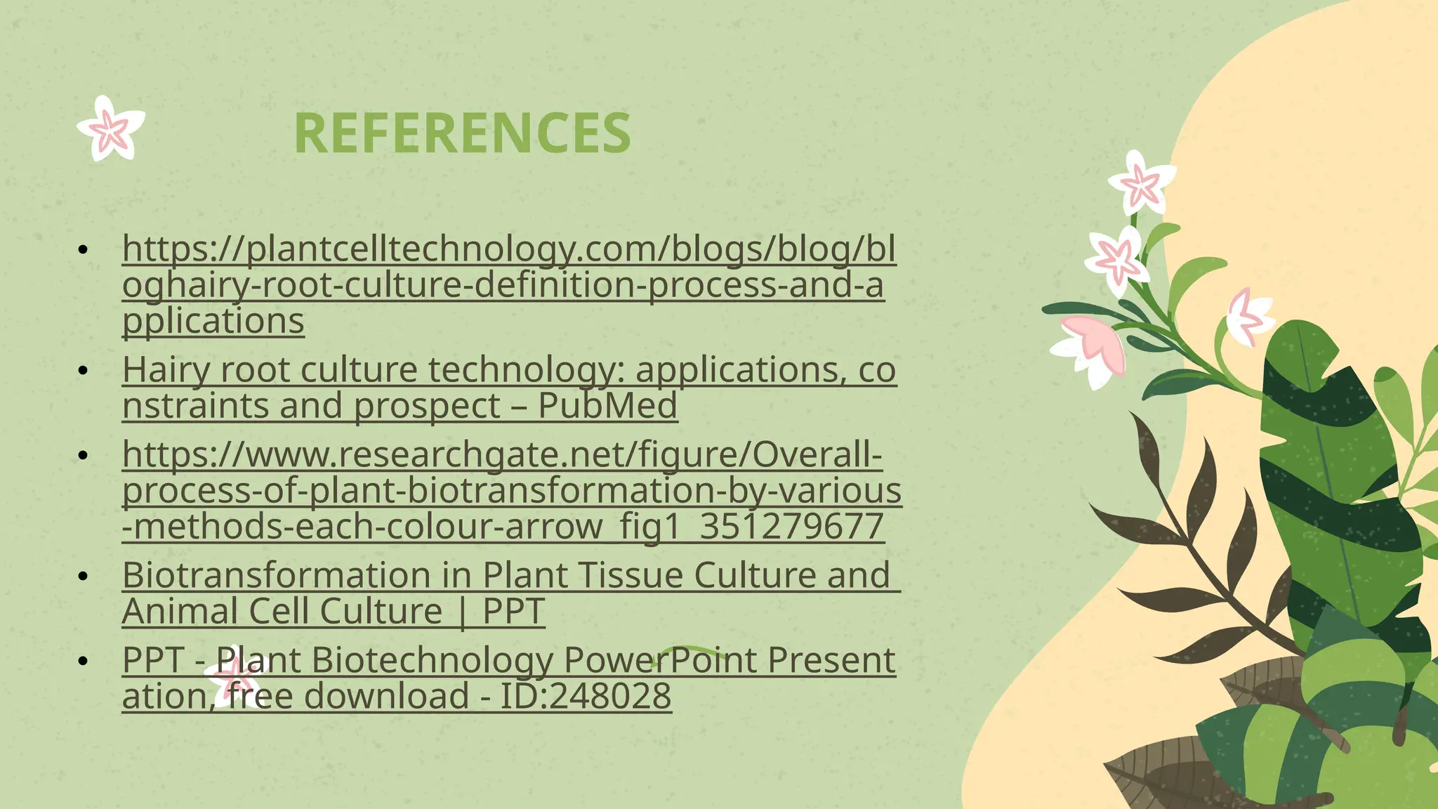 Hairy root culture and biotransformation by Drx Zainab Mantasha .pptx