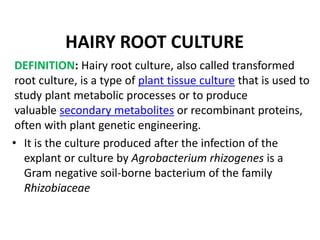 Hairy root culture, multiple shoot culture , | PPTX