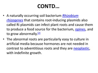 Hairy root culture, multiple shoot culture , | PPTX