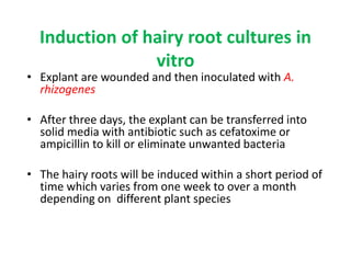 Hairy root culture, multiple shoot culture , | PPTX