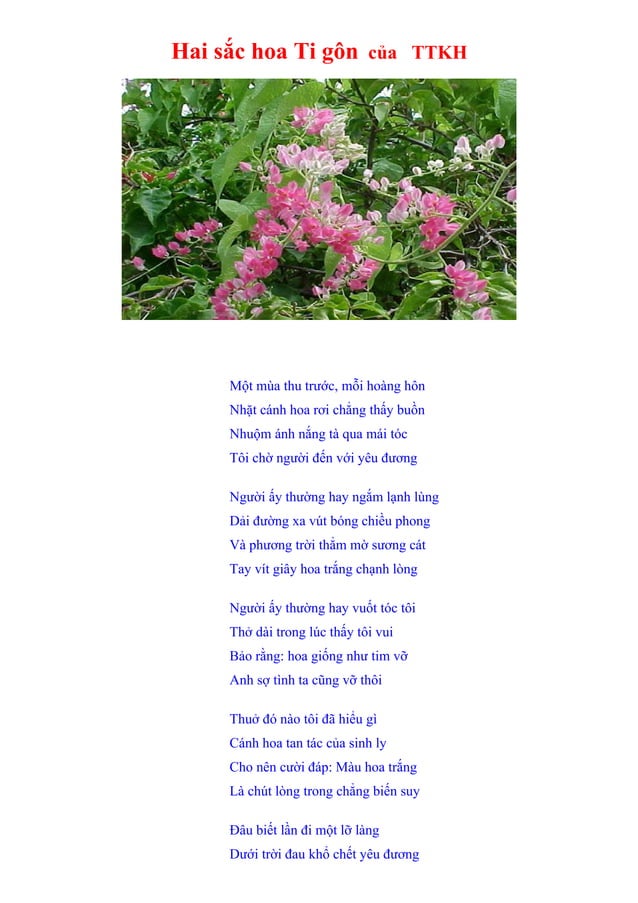 Hai sắc hoa ti gôn - TTKH | DOC