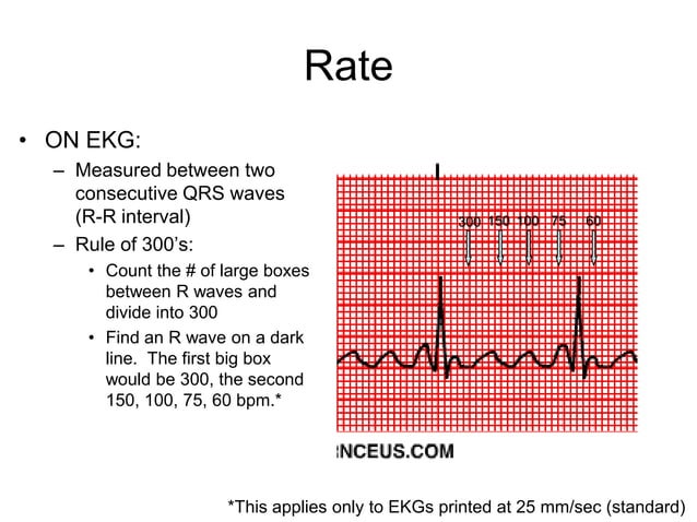 Basic EKG and Rhythm Interpretation Symposia - The CRUDEM Foundation