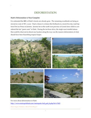 Haiti Deforestation - A Short Update | PDF