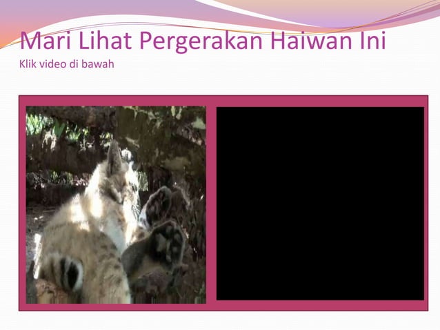 Haiwan 120509030850-phpapp02 | PPTX