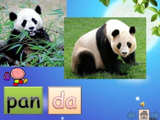 Haiwan | PPTX