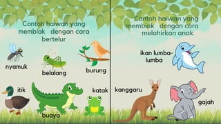 haiwan.pdf