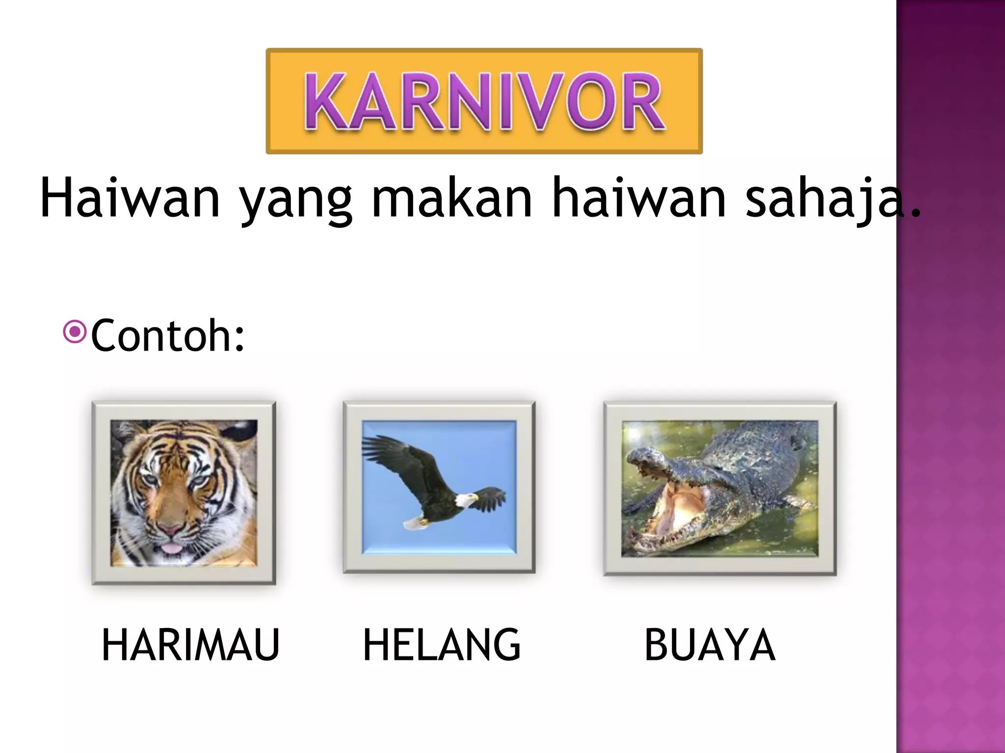 HAIWAN DAN JENIS MAKANANNYA | PPT