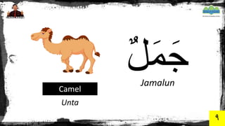 Haiwan Peliharaan (حيوانات الأليفة) - Domestic Animals (Bahasa Arab) | PDF