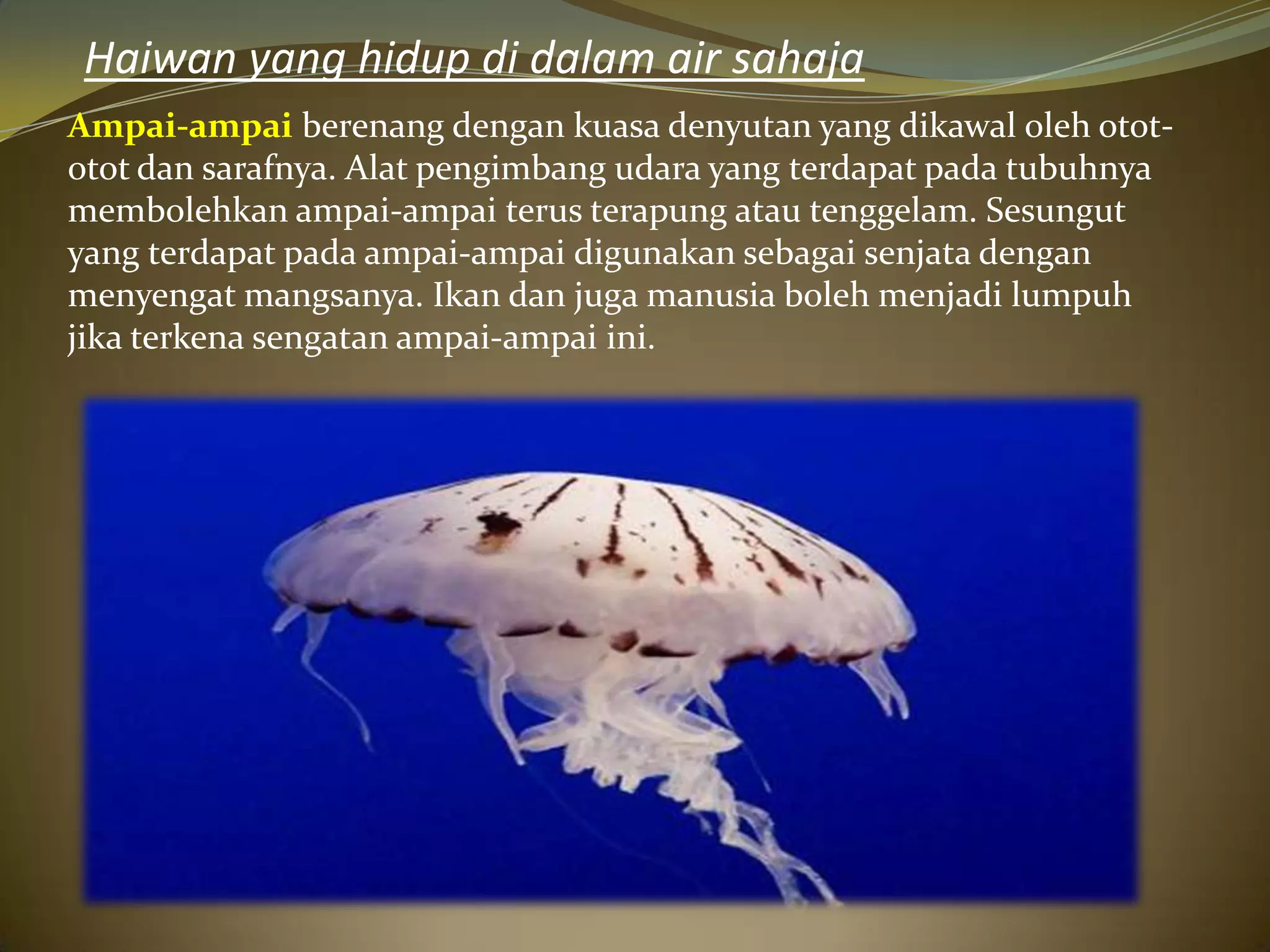 Haiwan yang hidup di dalam air sahaja | PPTX